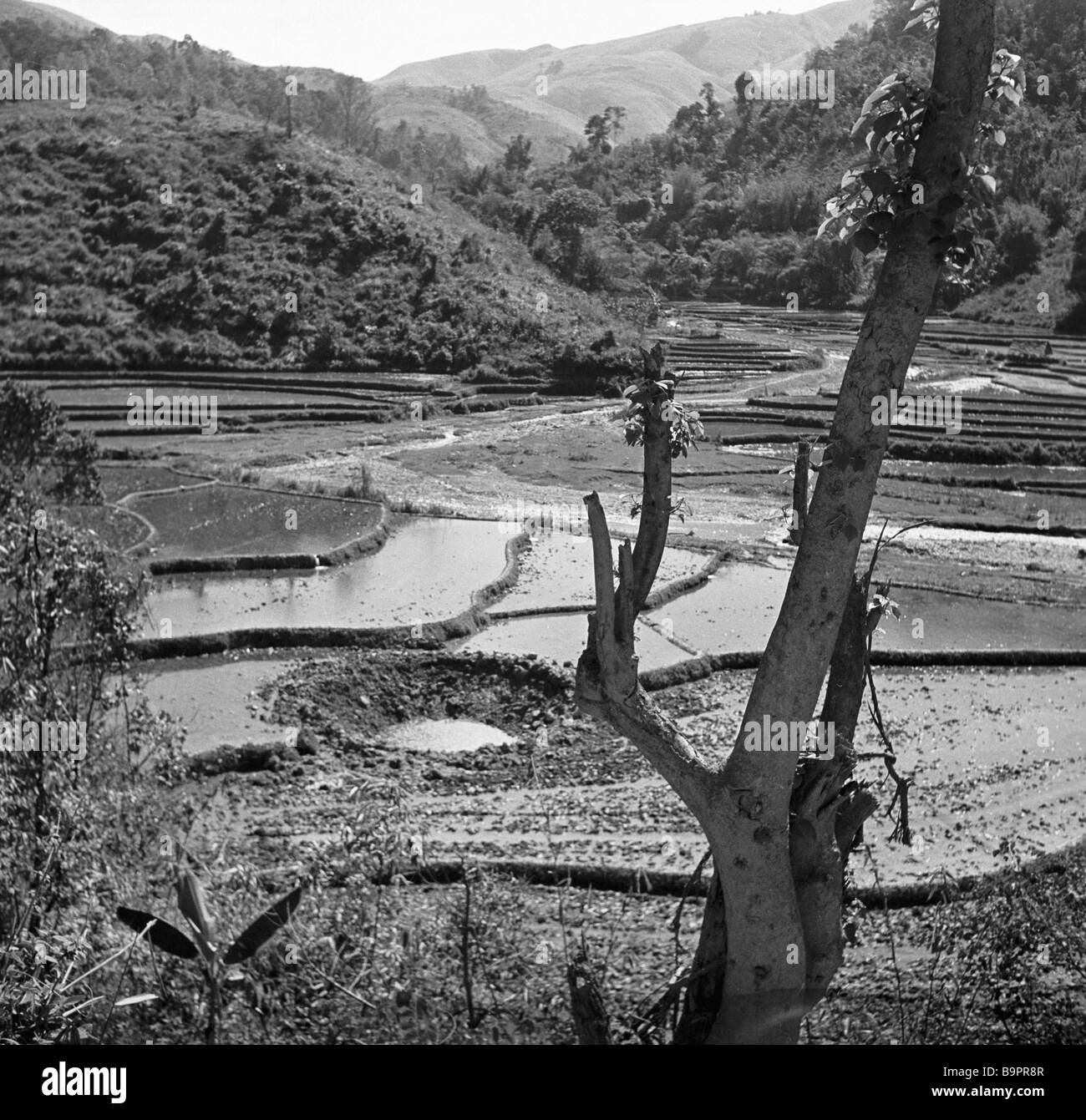 Shell hole formed as a result of U S bombings during the Vietnamese war ...
