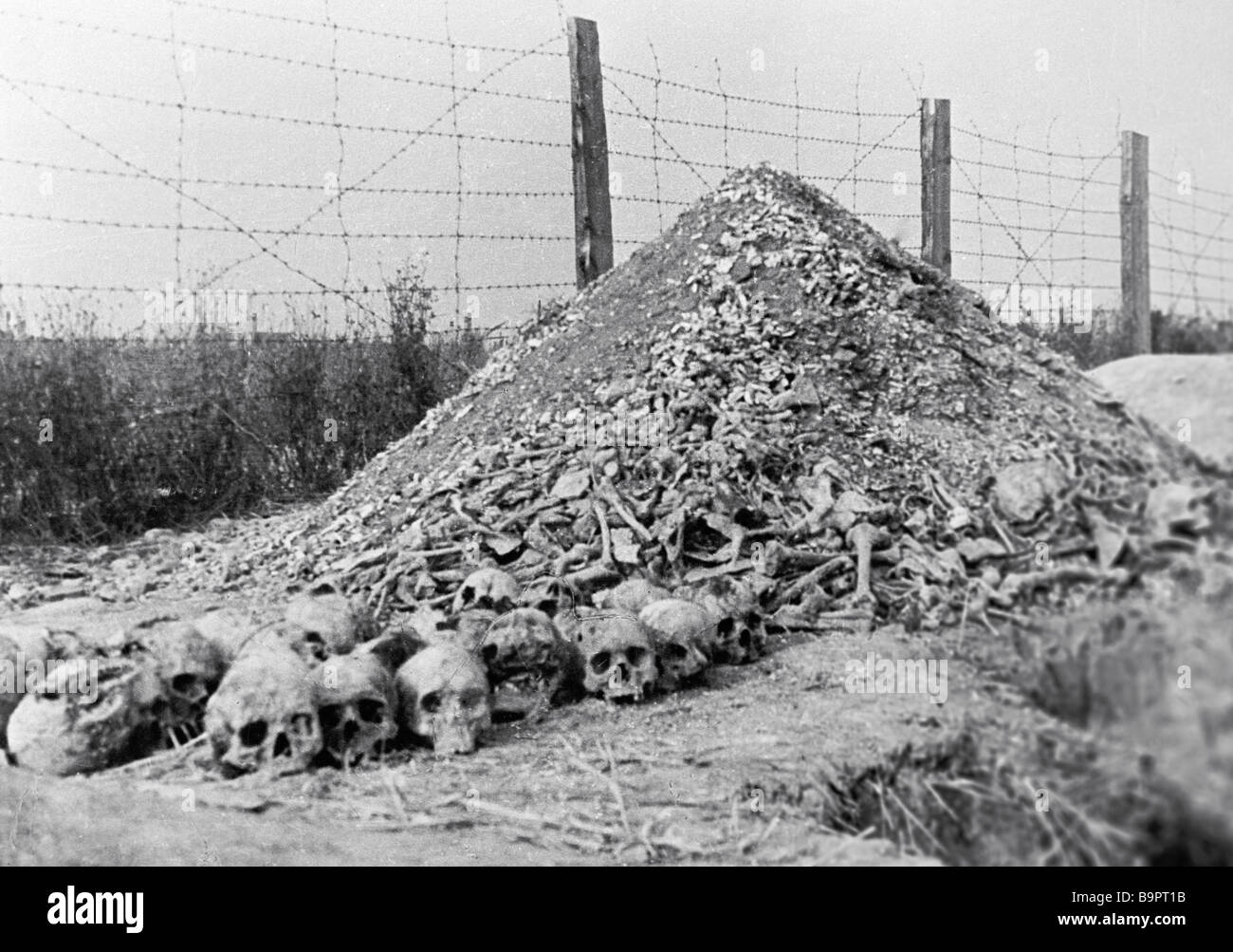 Human Bones Pile High Resolution Stock Photography and Images - Alamy