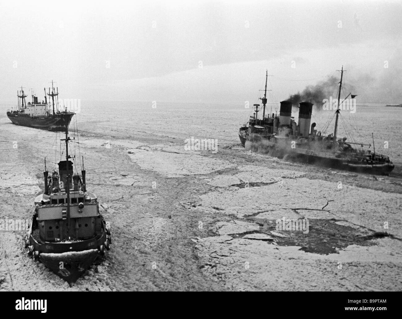 Sibiryakov icebreaker leads the convoy along the Northern sea route ...
