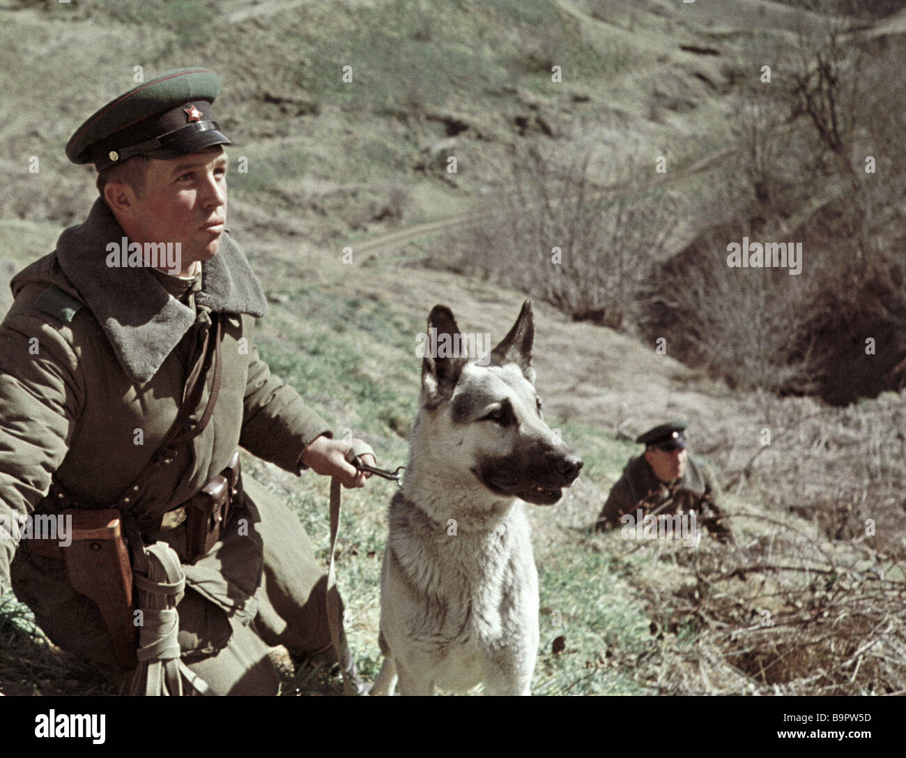 Border guards patrol with a dog observing a frontier section Stock ...