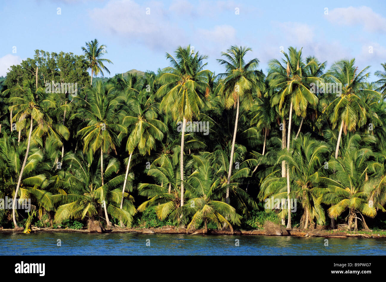 Dominican Republic, Samana Province, Sanchez Stock Photo - Alamy