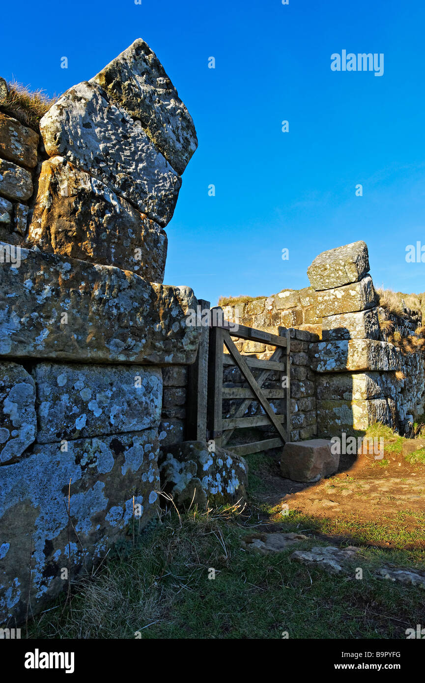 Archway at Milecastle 37 on Hadrian's Wall Stock Photo - Alamy