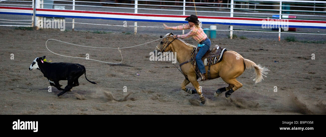 Cody Nite Rodeo High Resolution Stock Photography and Images - Alamy
