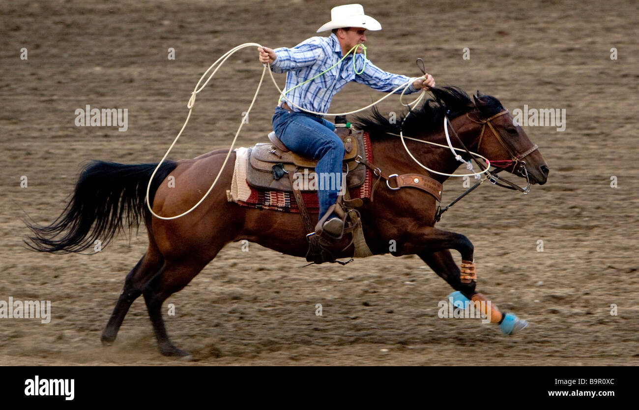 Roping competition hi-res stock photography and images - Alamy