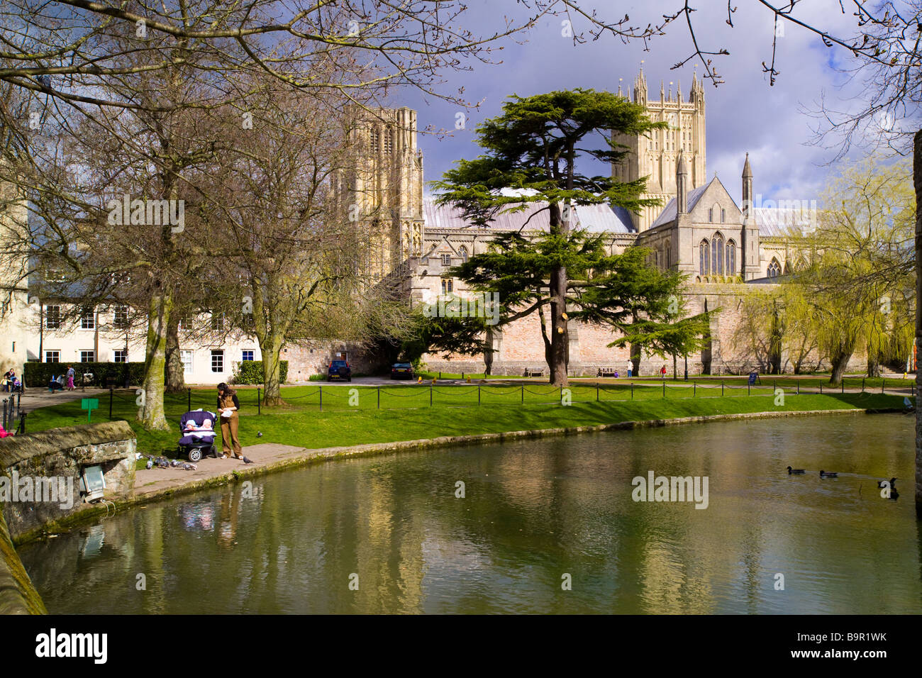 photograph of wells cathedral from bishops palace moat Stock Photo - Alamy
