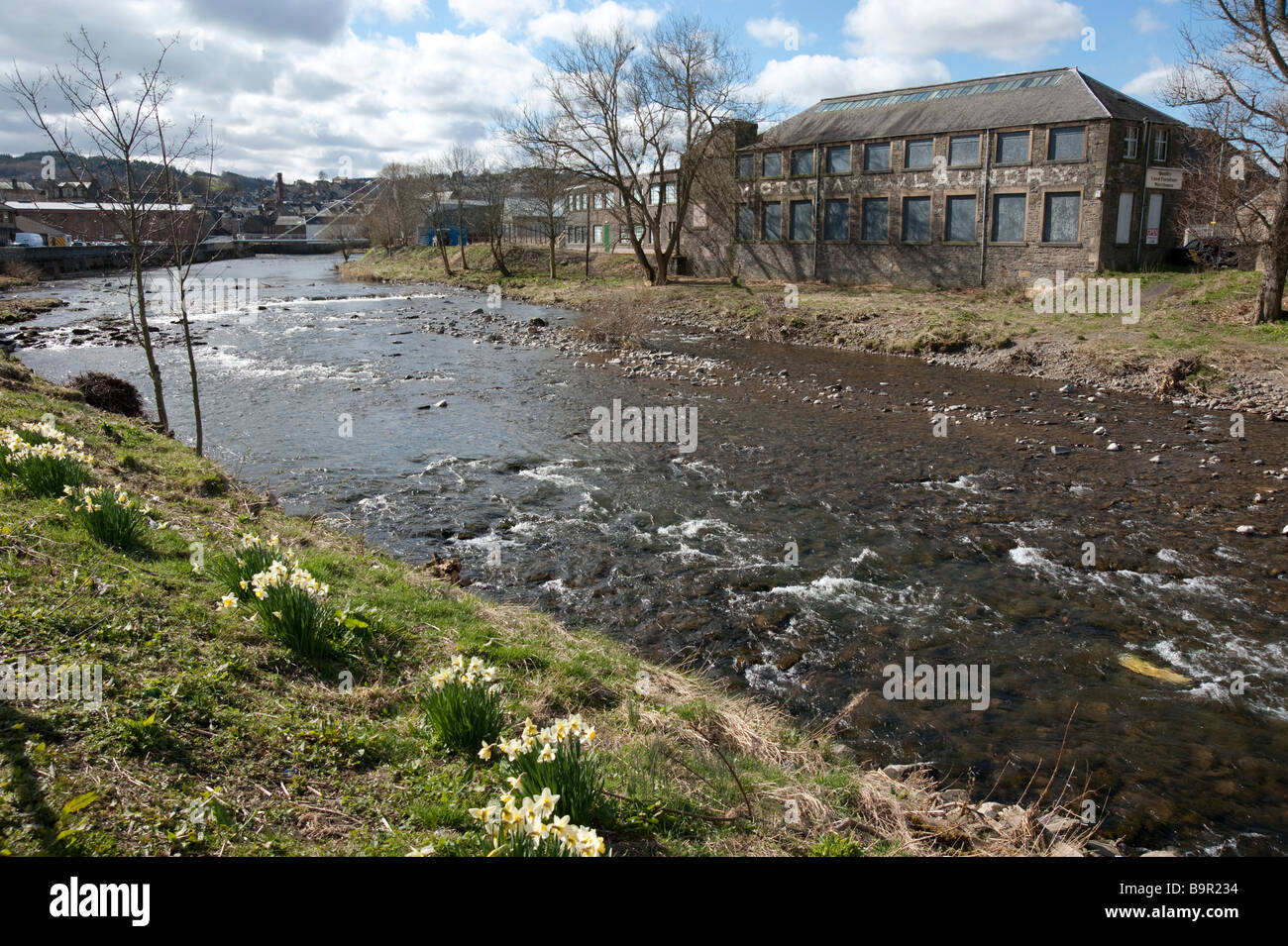 The River Teviot at Hawick Scottish Borders UK Stock Photo - Alamy