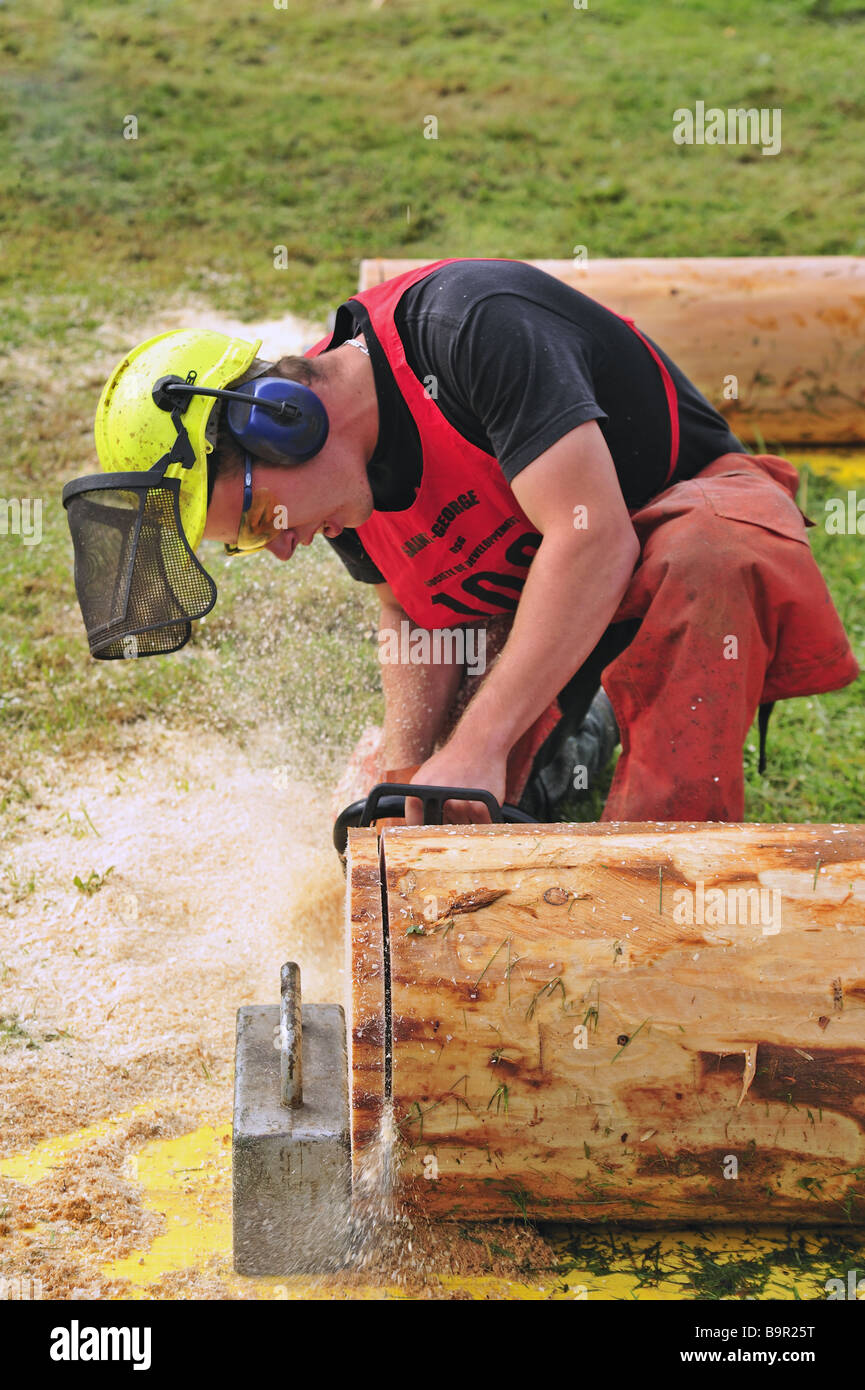 Logger in action Stock Photo - Alamy