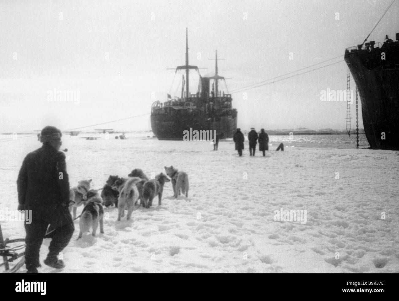Members of expedition to rescue crew of motor ship Chelyuskin in Bukhta ...