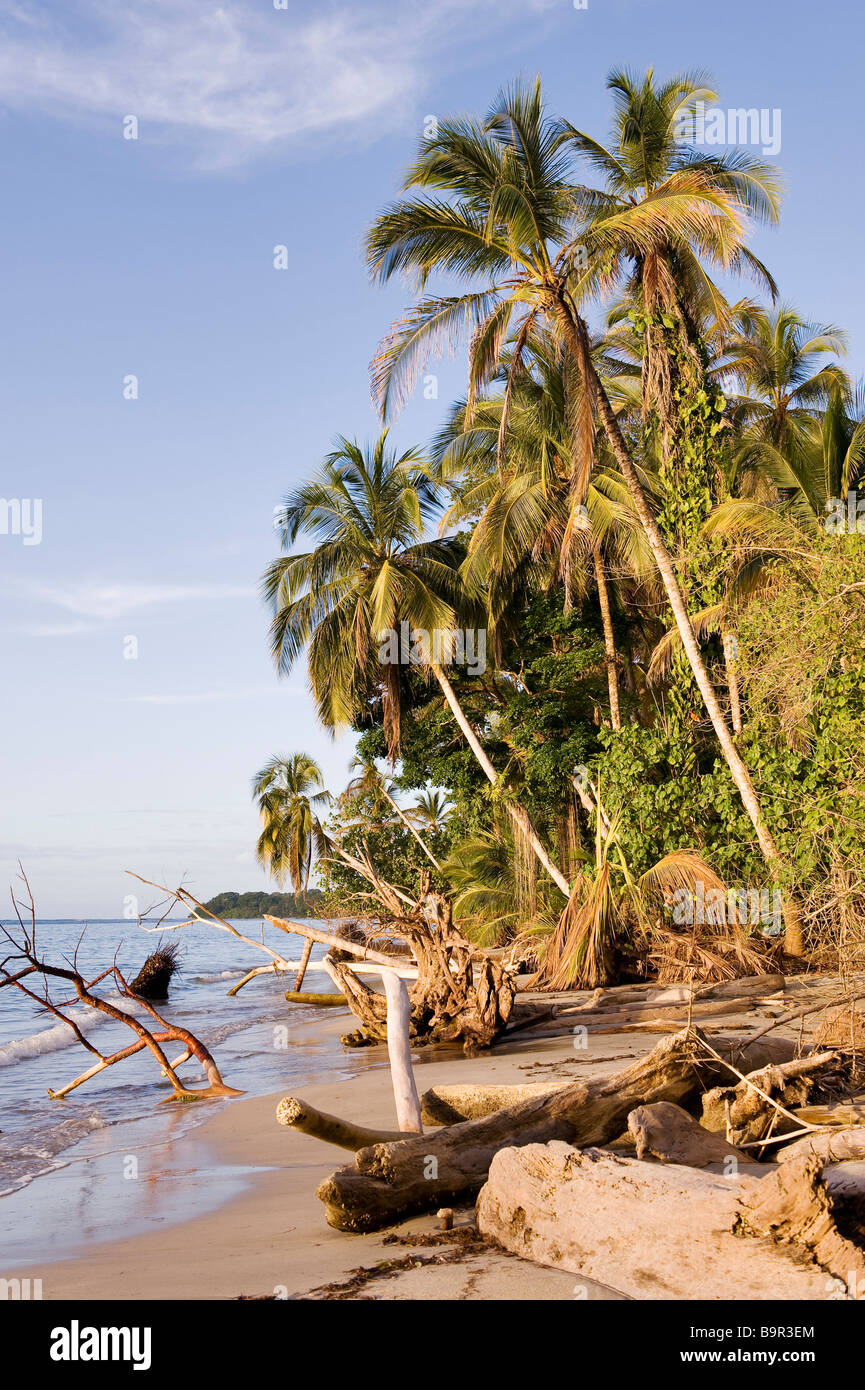 Costa Rica, Limon Province, Caribbean coast, Cahuita National Park ...