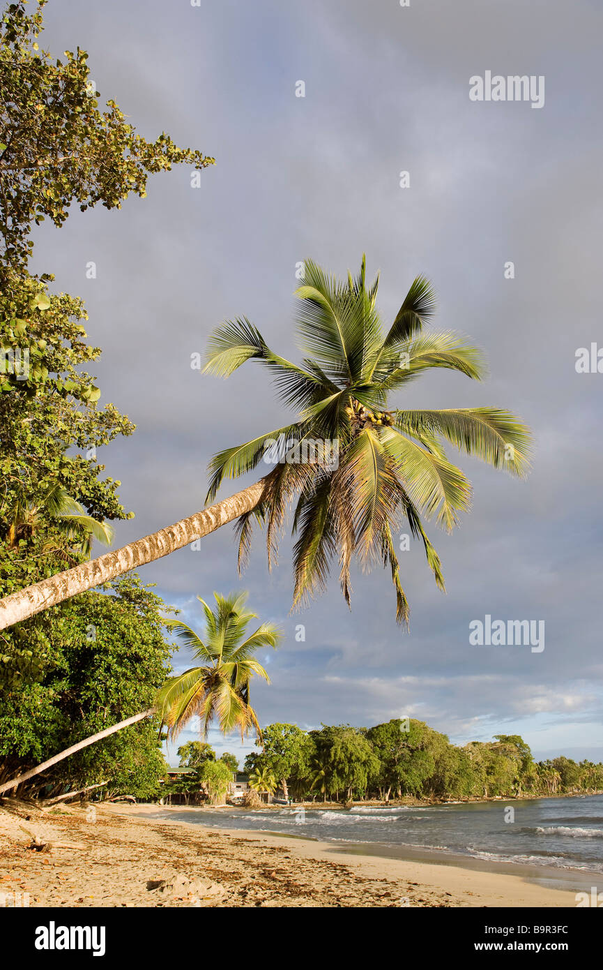 Costa Rica, Limon Province, Caribbean coast, Cahuita National Park ...