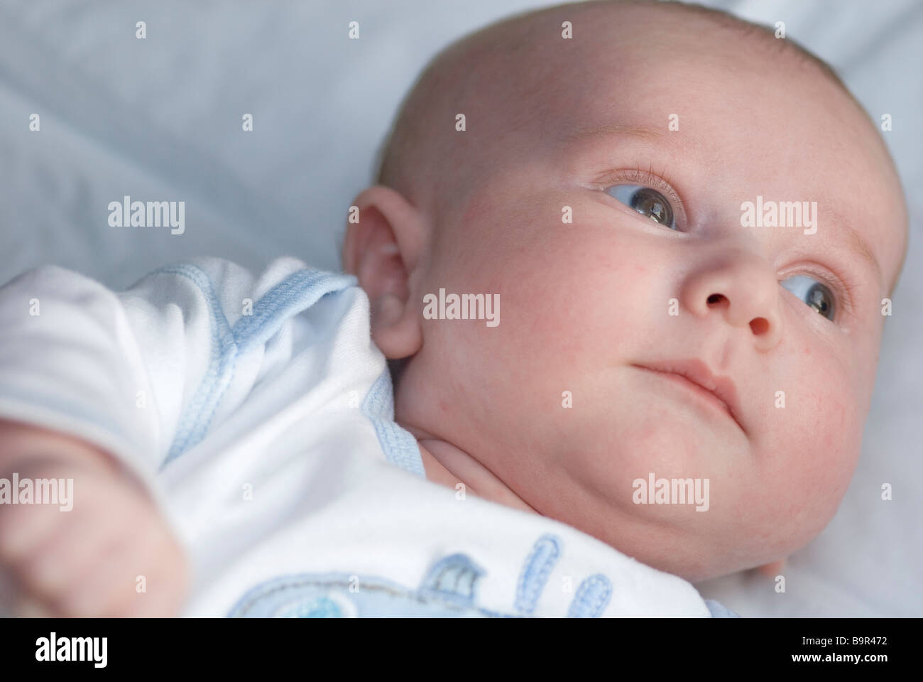 6 week old baby boy Stock Photo - Alamy