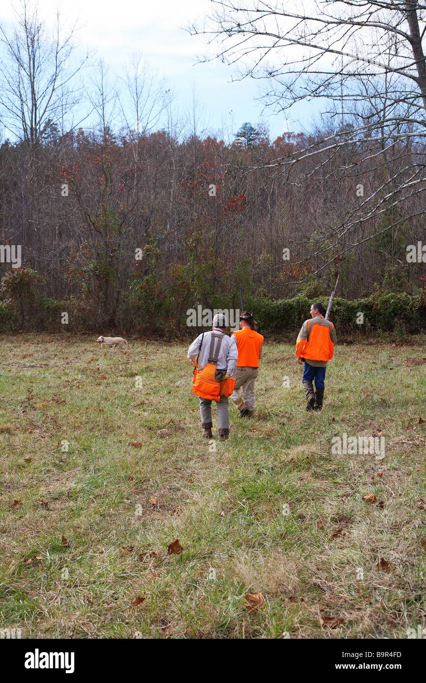 Two hunters and a hunting guide walk a fence line Orange vests Shot gun ...