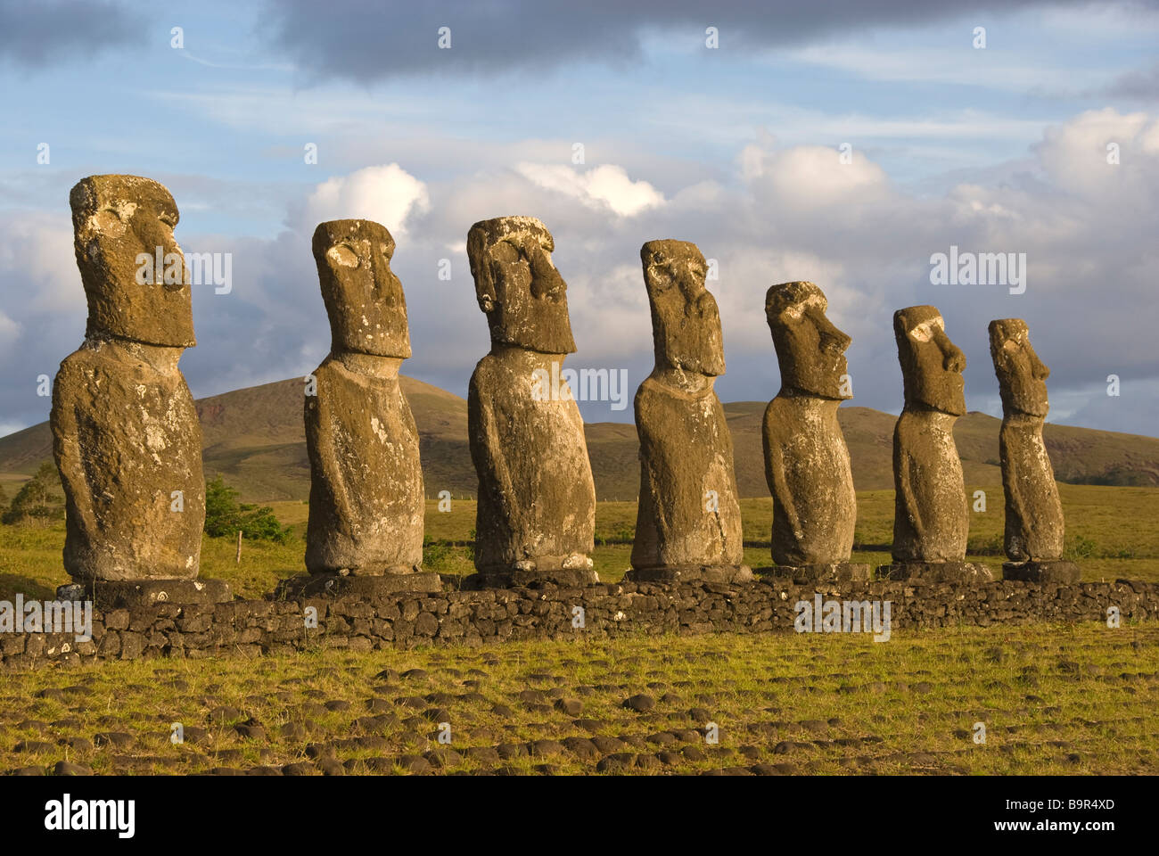 Stone moai head statues heads hi-res stock photography and images - Alamy