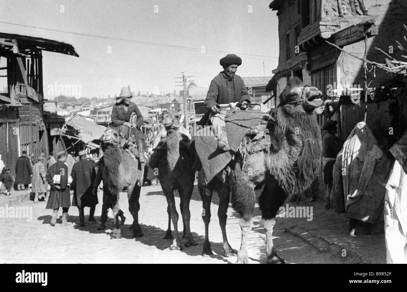 A camel caravan in a town street Stock Photo - Alamy