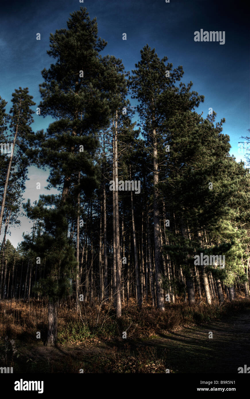 Andrew barrow hi-res stock photography and images - Alamy