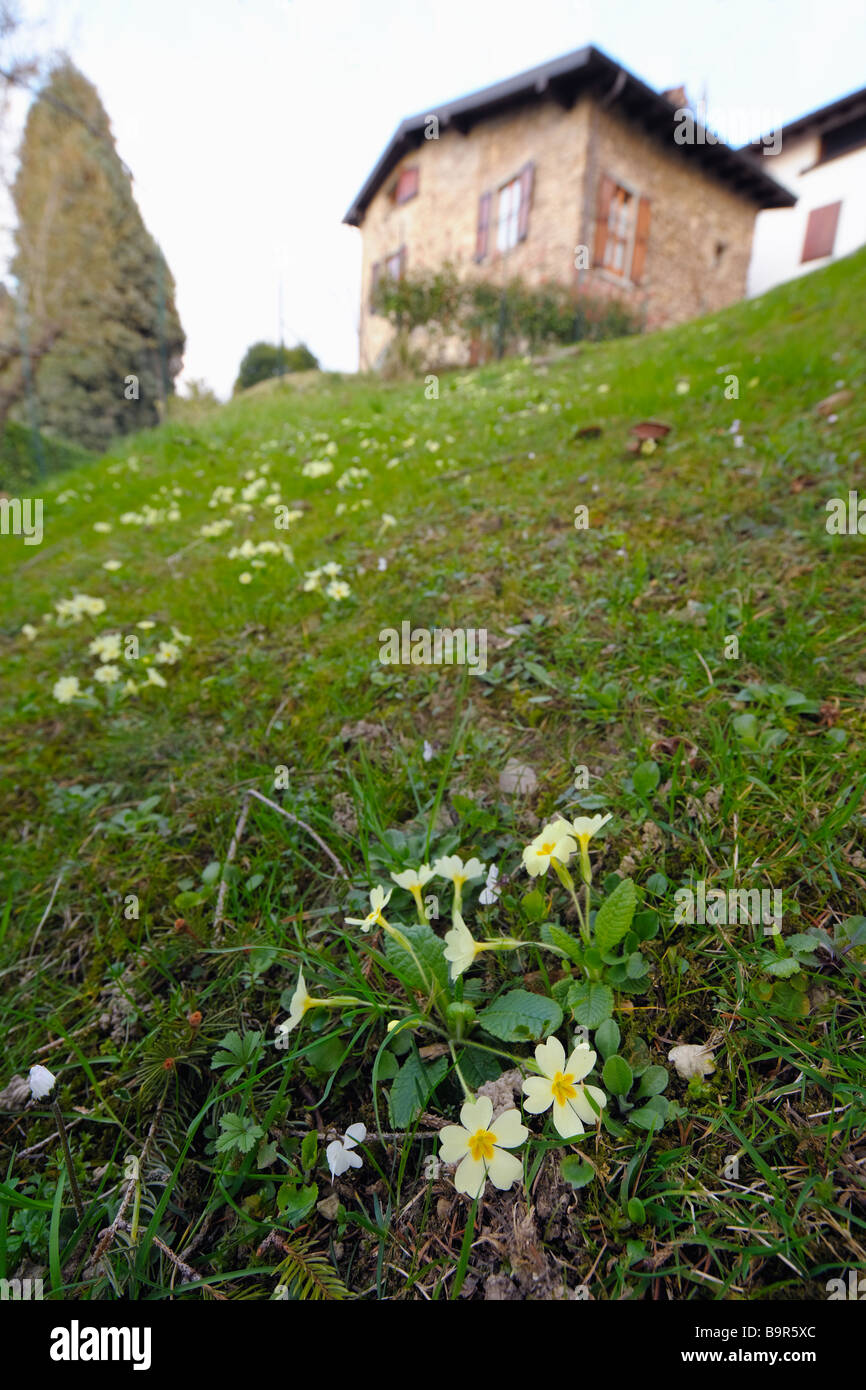 Steep grassy bank hi-res stock photography and images - Alamy