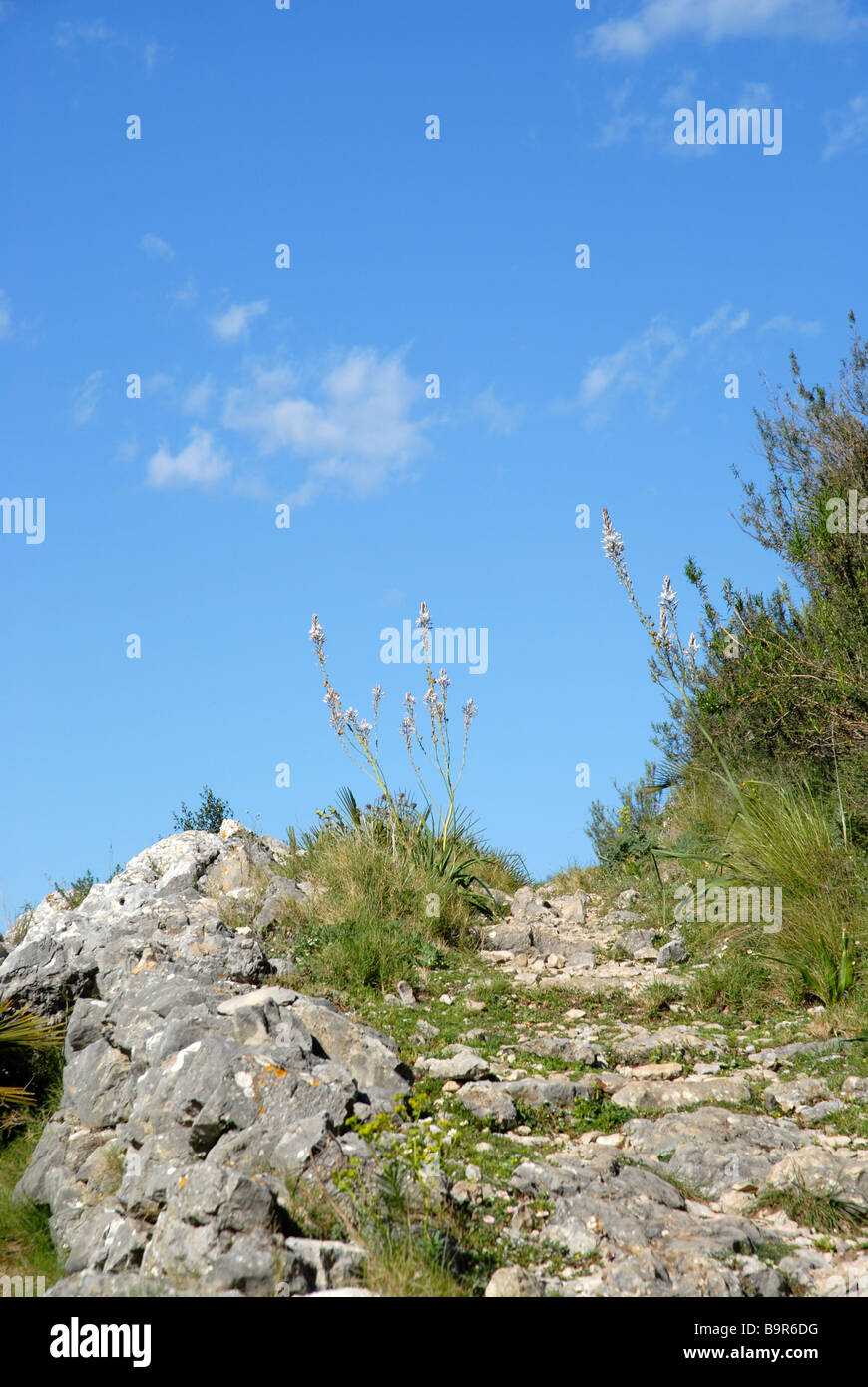 Mozarabic stepped trail, Vall de Laguart, Benimaurell, Alicante ...