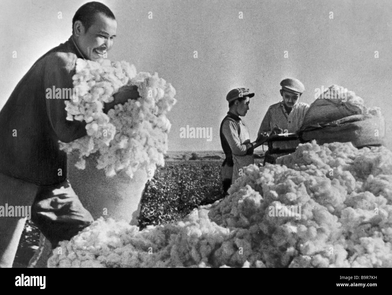 Farmers gather cotton Stock Photo - Alamy