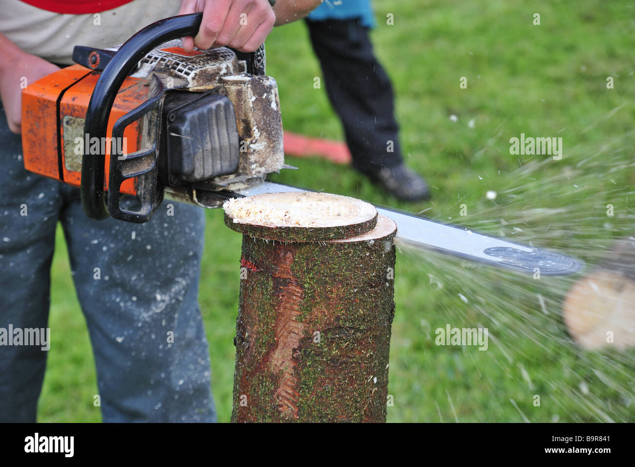 Lumberjack at work Stock Photo - Alamy