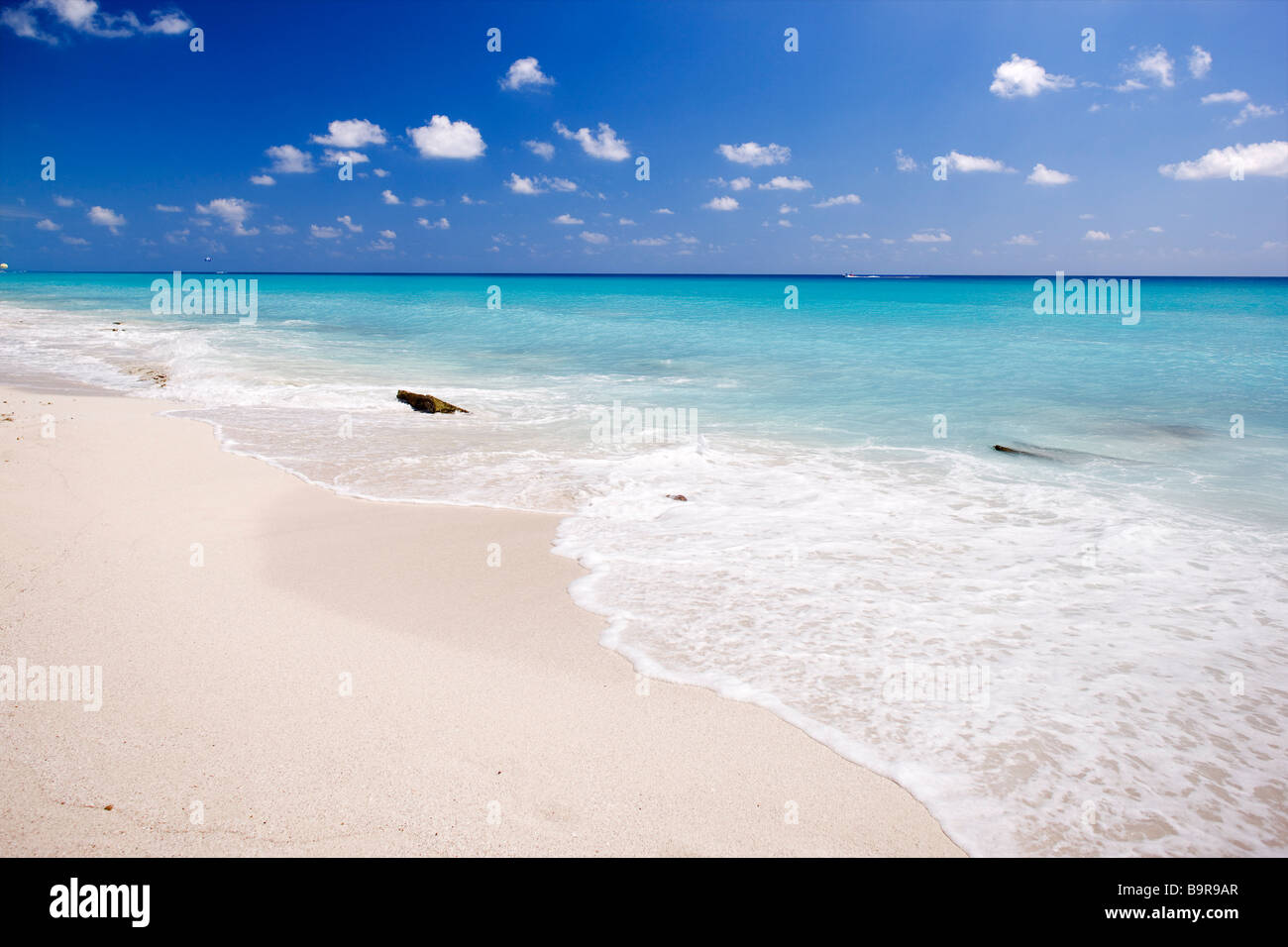 Playa delfines cancun hi-res stock photography and images - Alamy