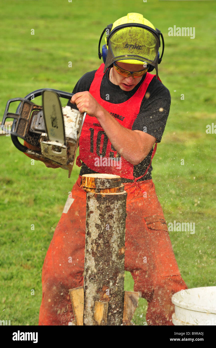 Logger in action Stock Photo - Alamy