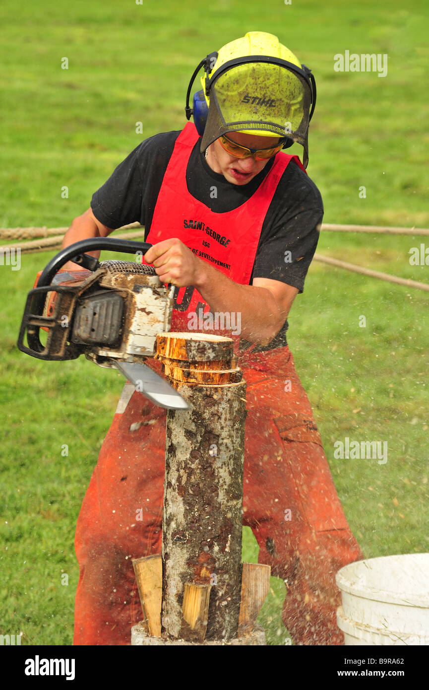 Logger in action Stock Photo - Alamy