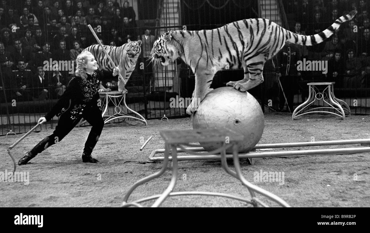 Margarita Nazarova tiger tamer during a performance at the Moscow State ...