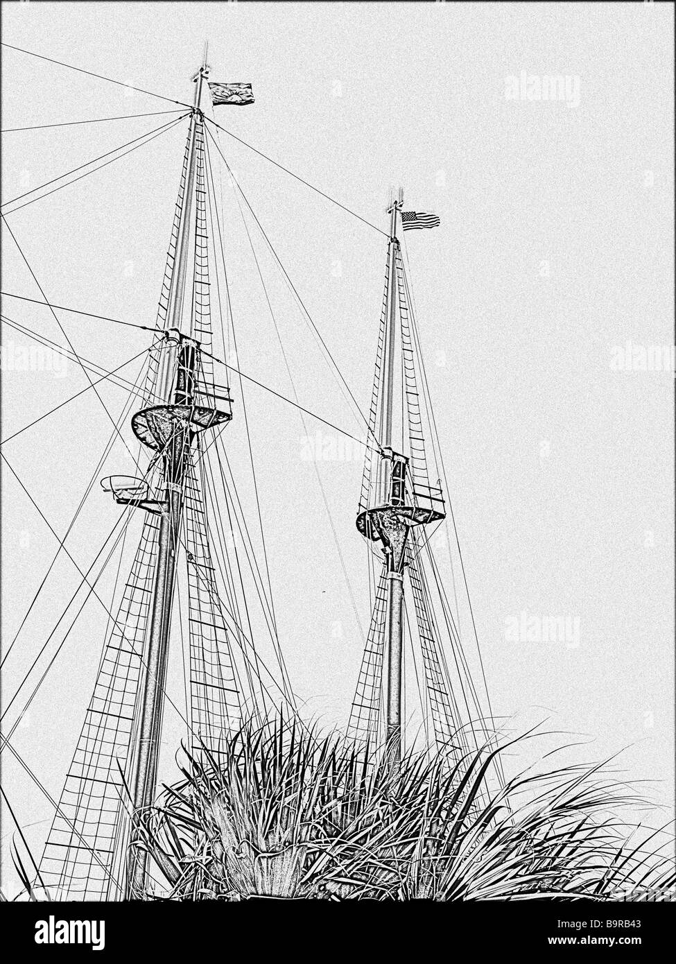 two masts of a three masted tall ship with palm tree in foreground ...