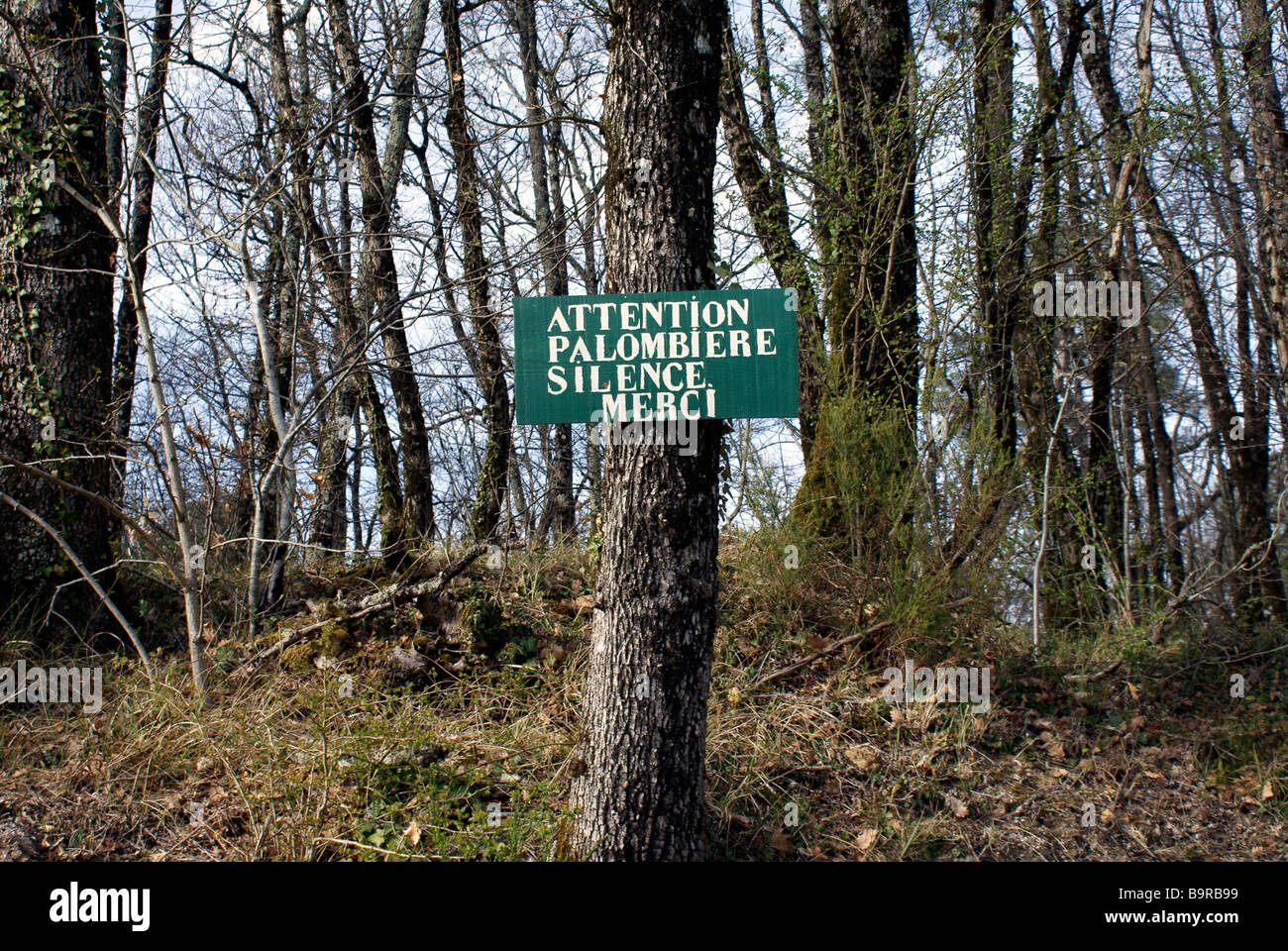 Forest hunting hi-res stock photography and images - Alamy