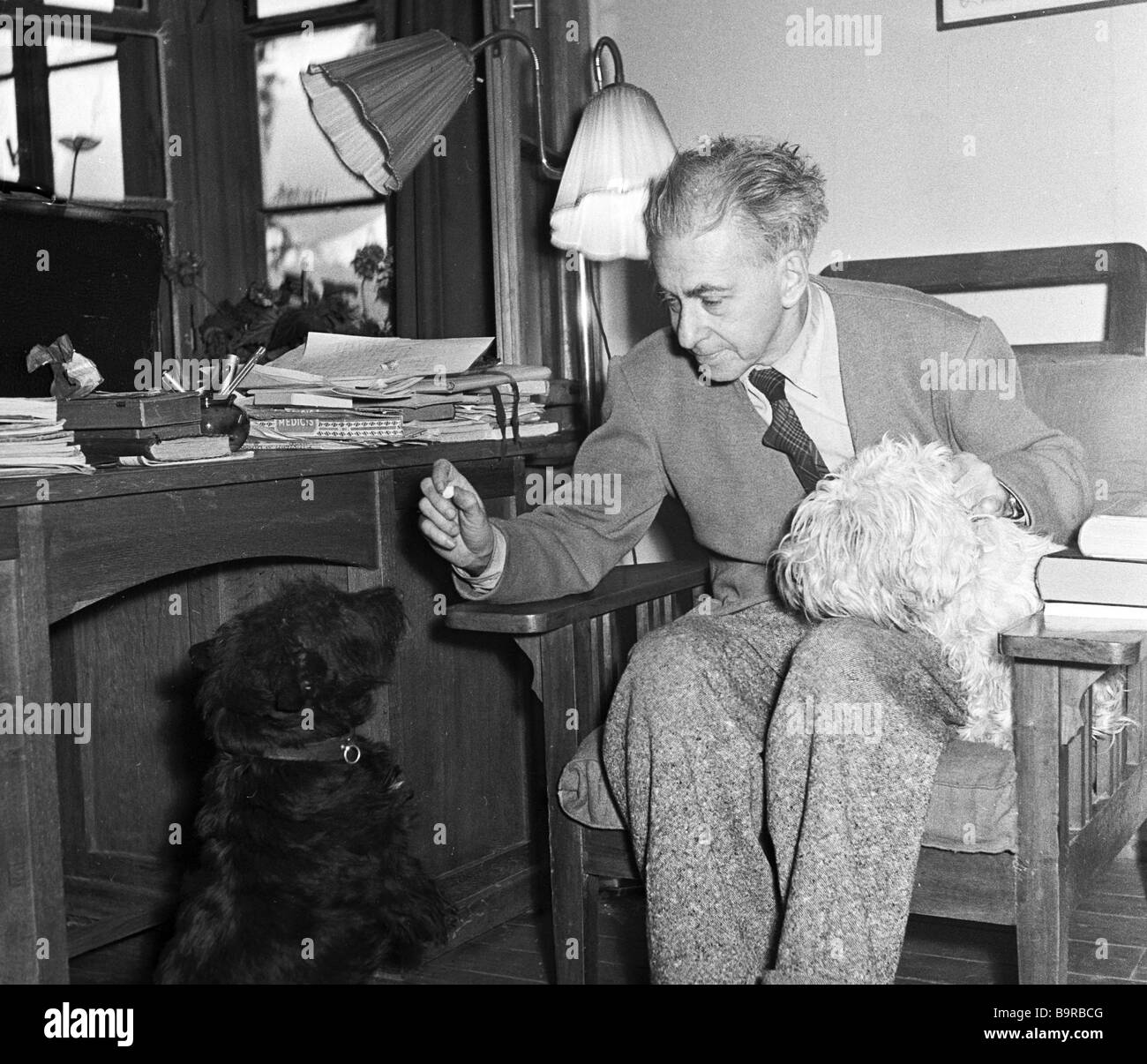 Ilya Ehrenburg Soviet writer Stock Photo - Alamy