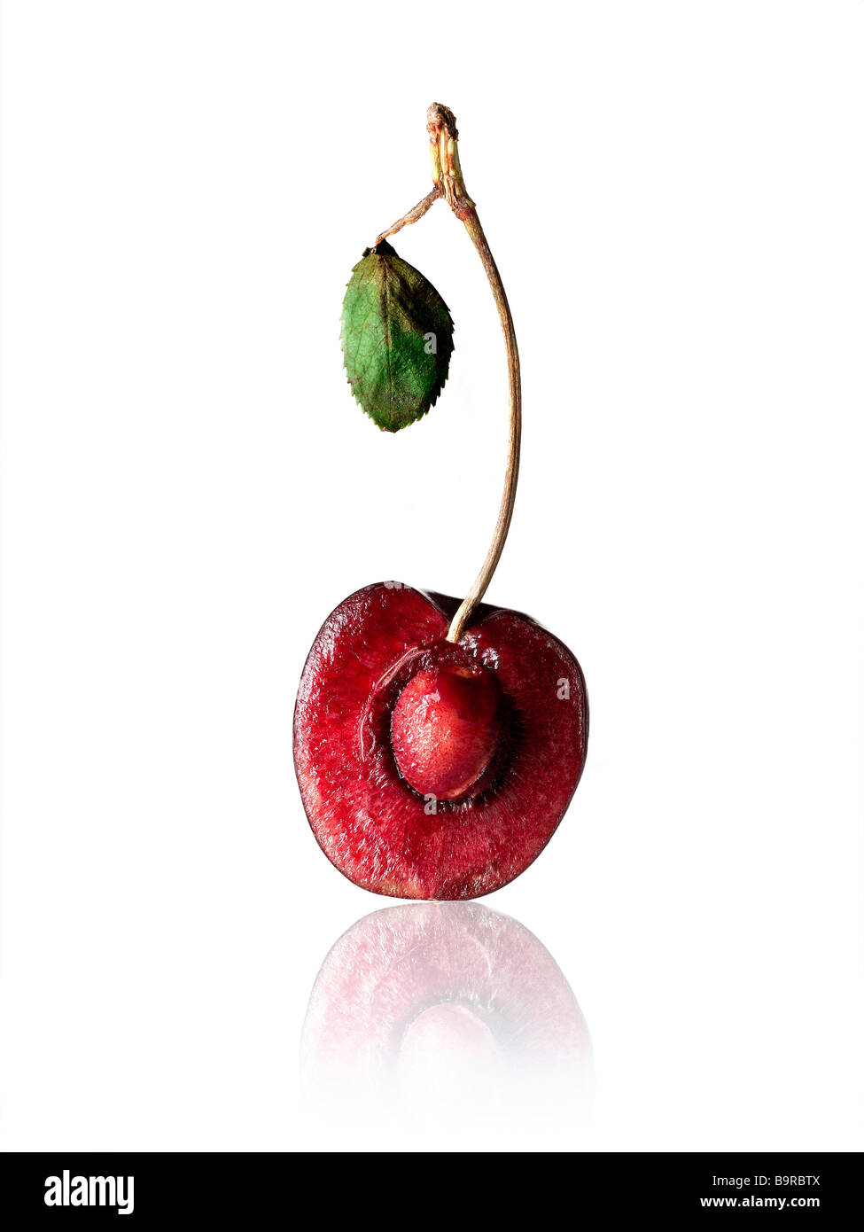Half Cherry with Stem Stock Photo - Alamy