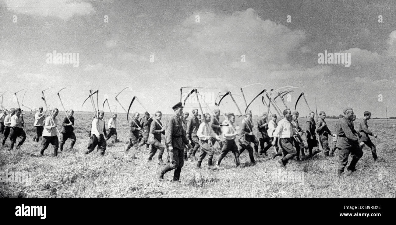 The Red Army soldiers and commanders set out for harvesting in the ...
