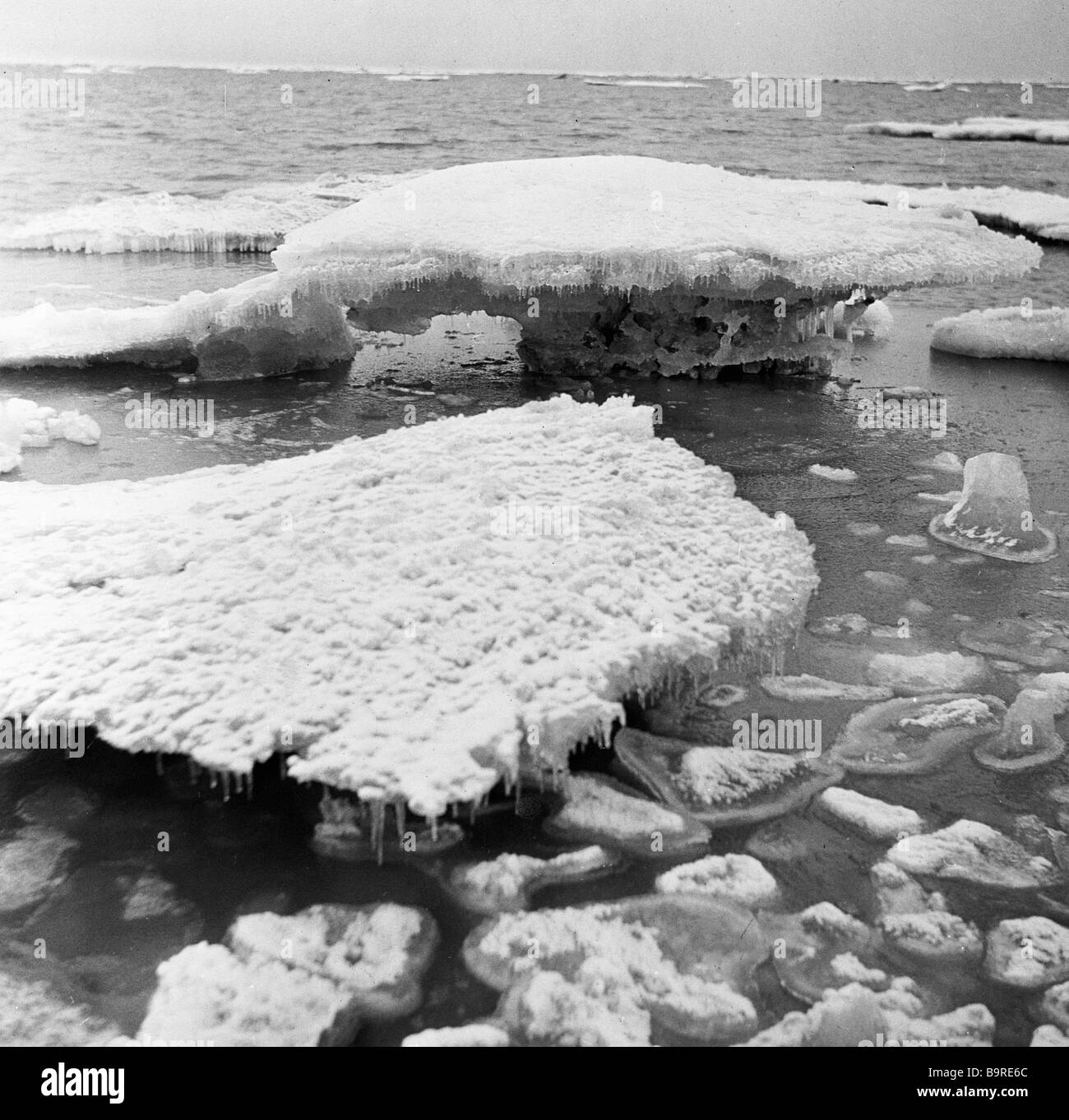 Melting ice floes in the Laptev sea Stock Photo - Alamy