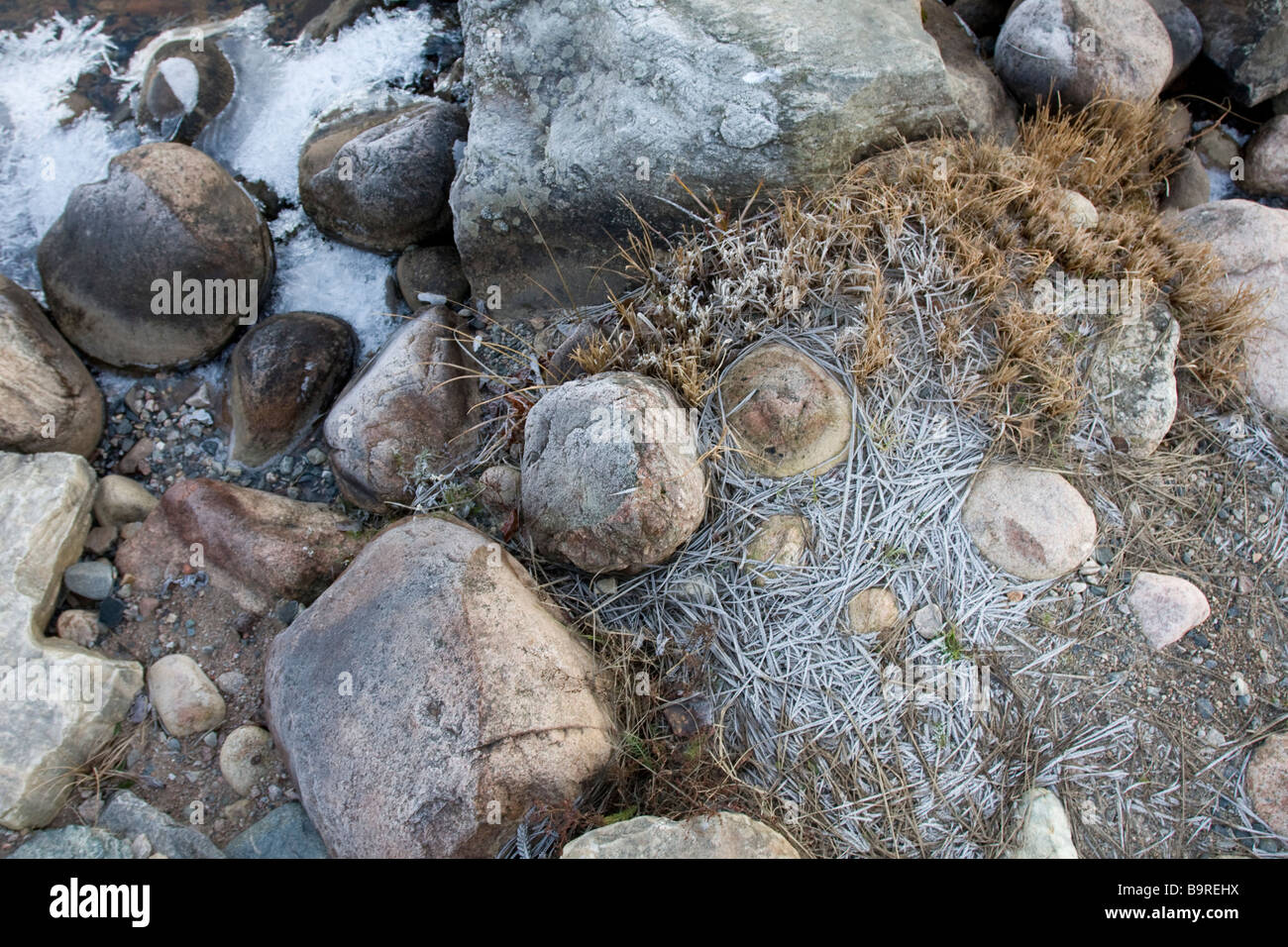 close-up on ground Stock Photo - Alamy