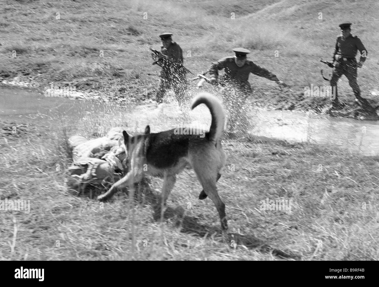 Frontier guards with a dog drill a frontier crosser detention Stock ...