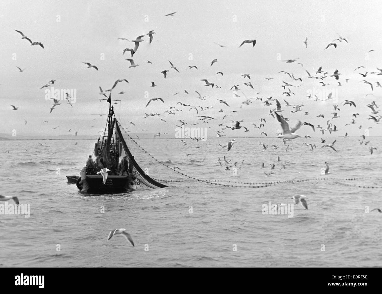 Fishing seiner in the Olyutorsky Bay Stock Photo - Alamy