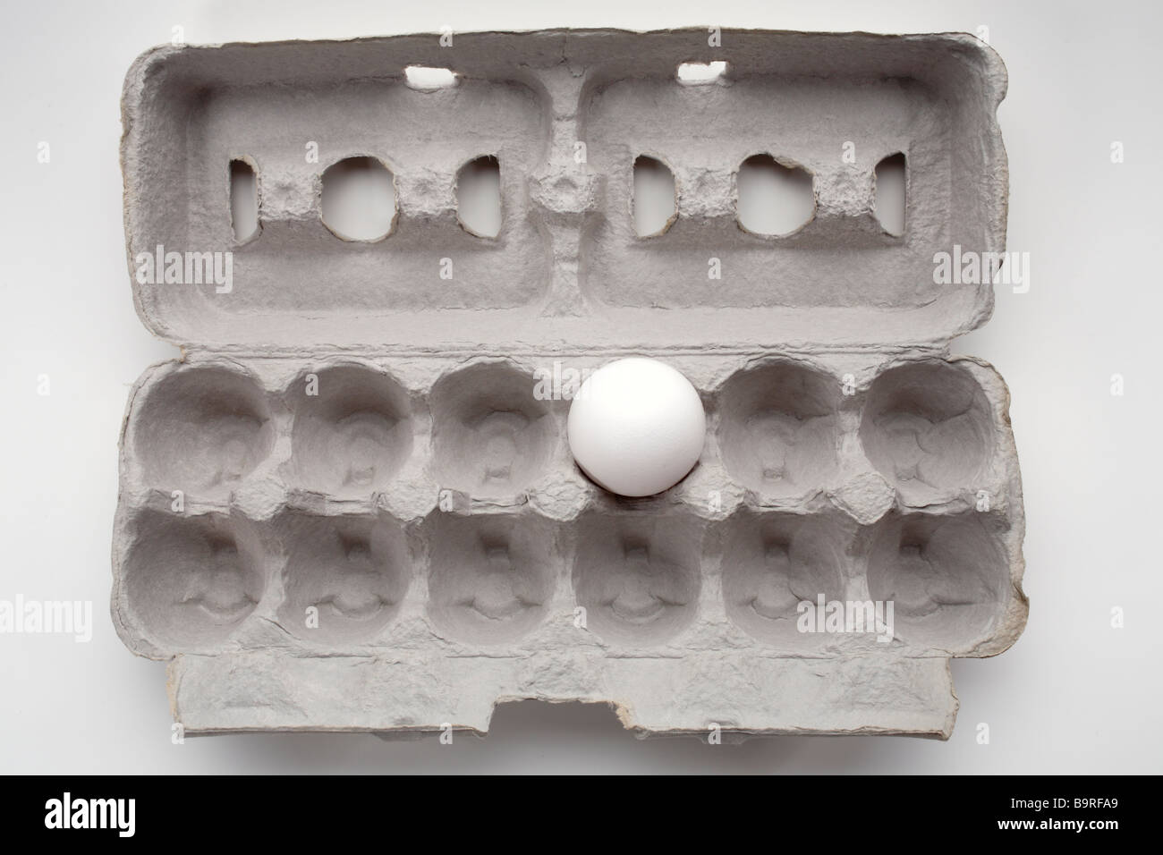 One egg in an egg carton Stock Photo - Alamy