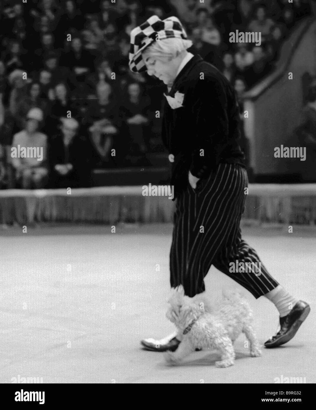 Clown Oleg Popov with a performing dog on the Moscow Circus arena Stock ...
