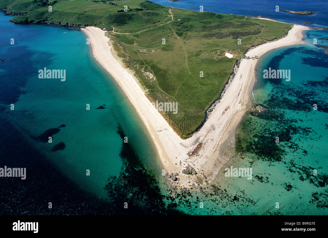 The herm hi-res stock photography and images - Alamy
