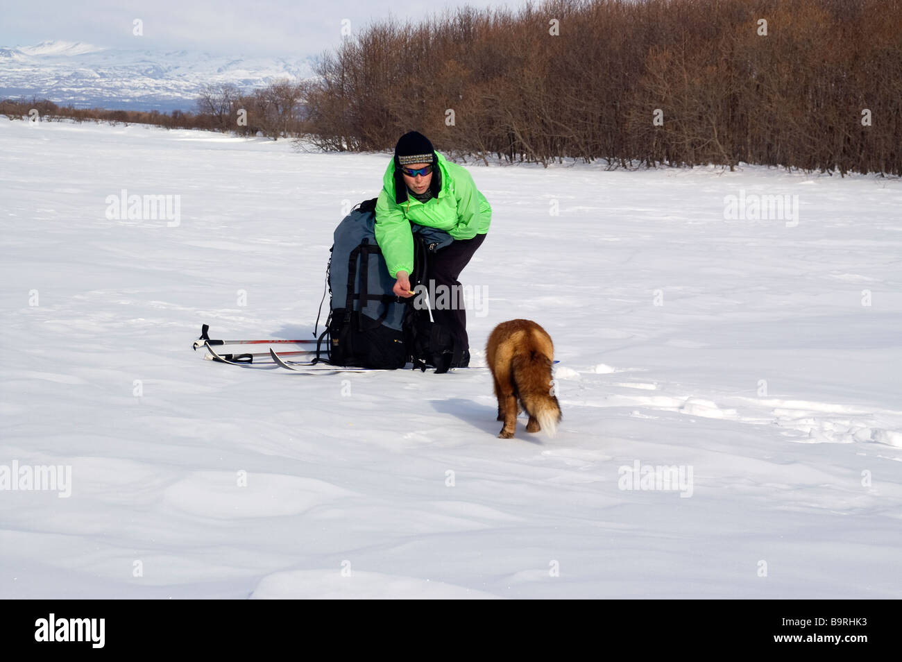 Fox and cheese hi-res stock photography and images - Alamy
