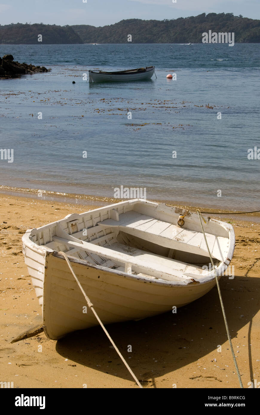 Rowing boat on beach, Ulva Island Stewart Island, New Zealand Stock ...