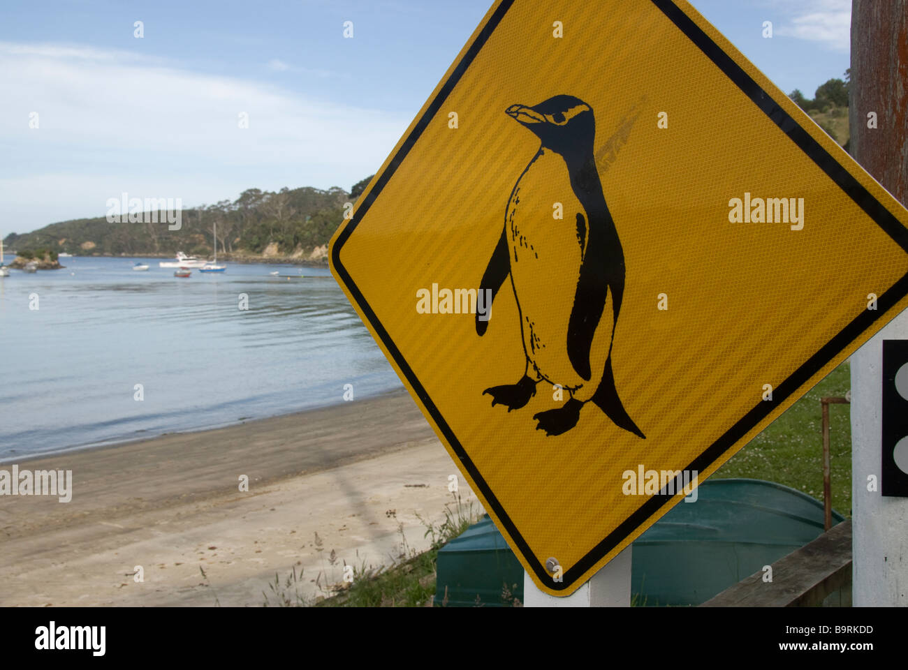 Penguin warning sign new zealand hi-res stock photography and images ...