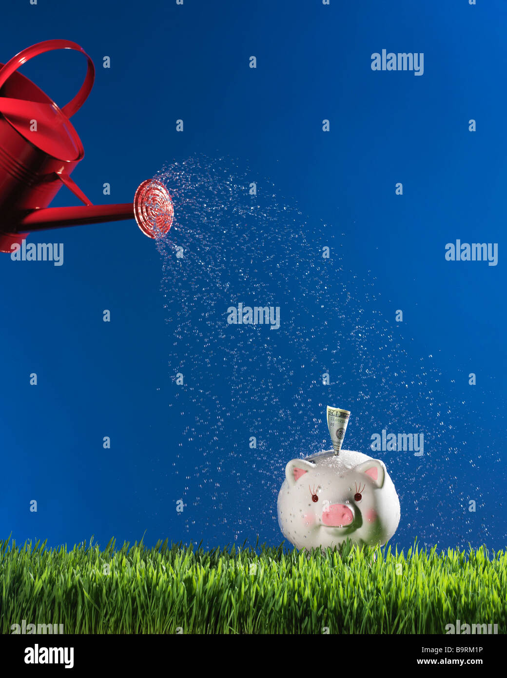 watering can sprinkling water onto piggy bank in grass with blue sky ...