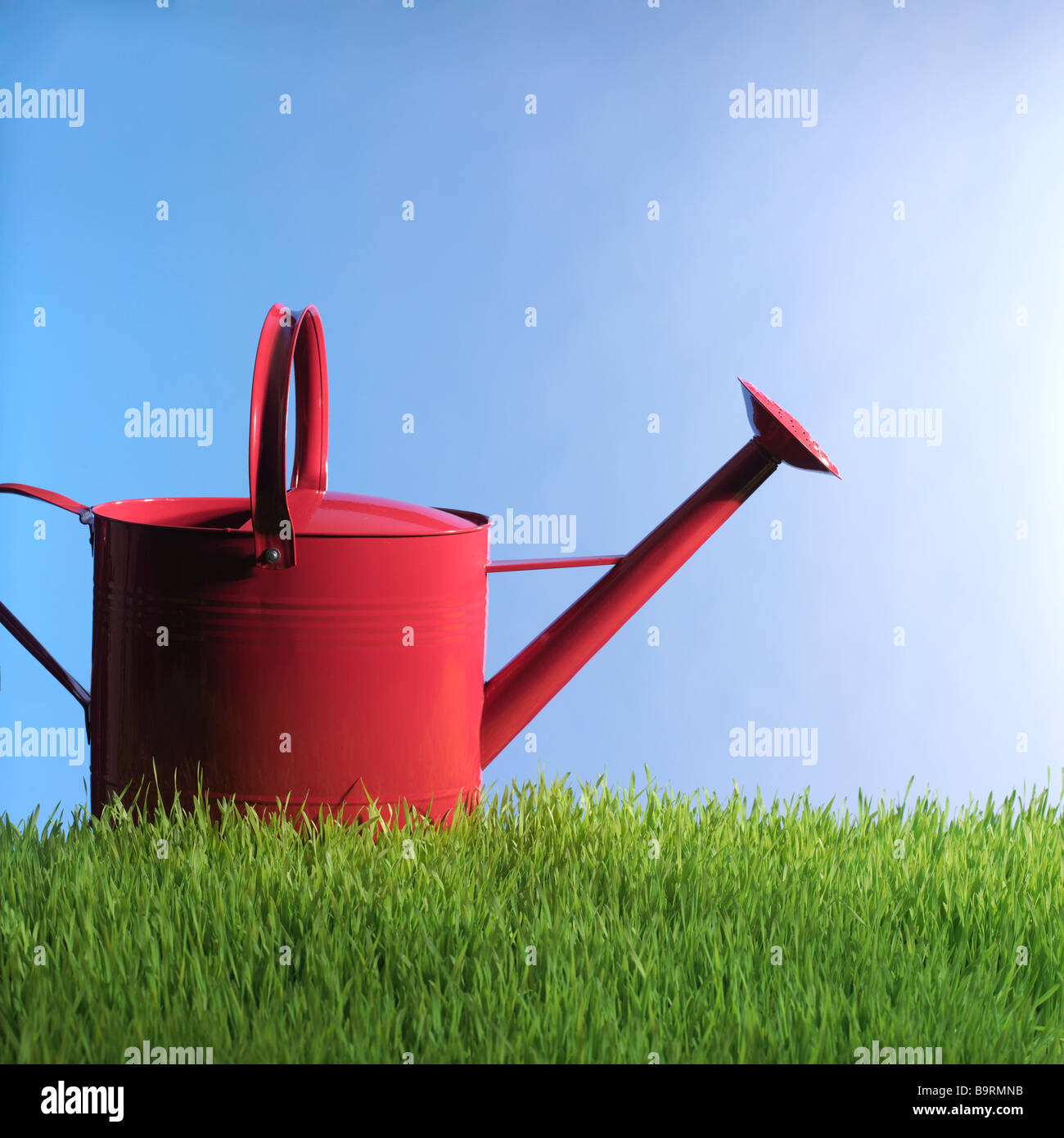 red watering can in grass Stock Photo - Alamy