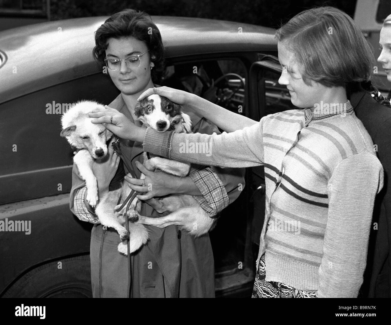 Petting the famous cosmonauts dogs Belka and Strelka Stock Photo - Alamy