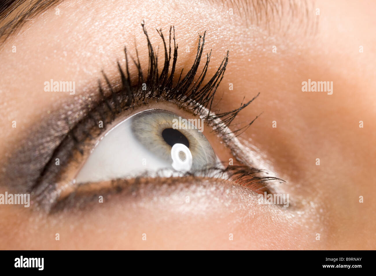 female wide open eye with long eyelashes macro Stock Photo - Alamy