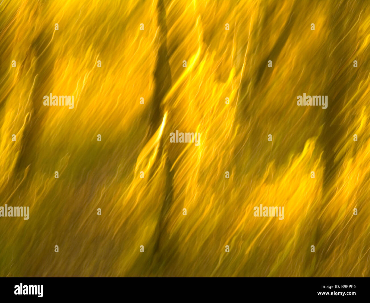 Warm shaky stirr background Stock Photo - Alamy