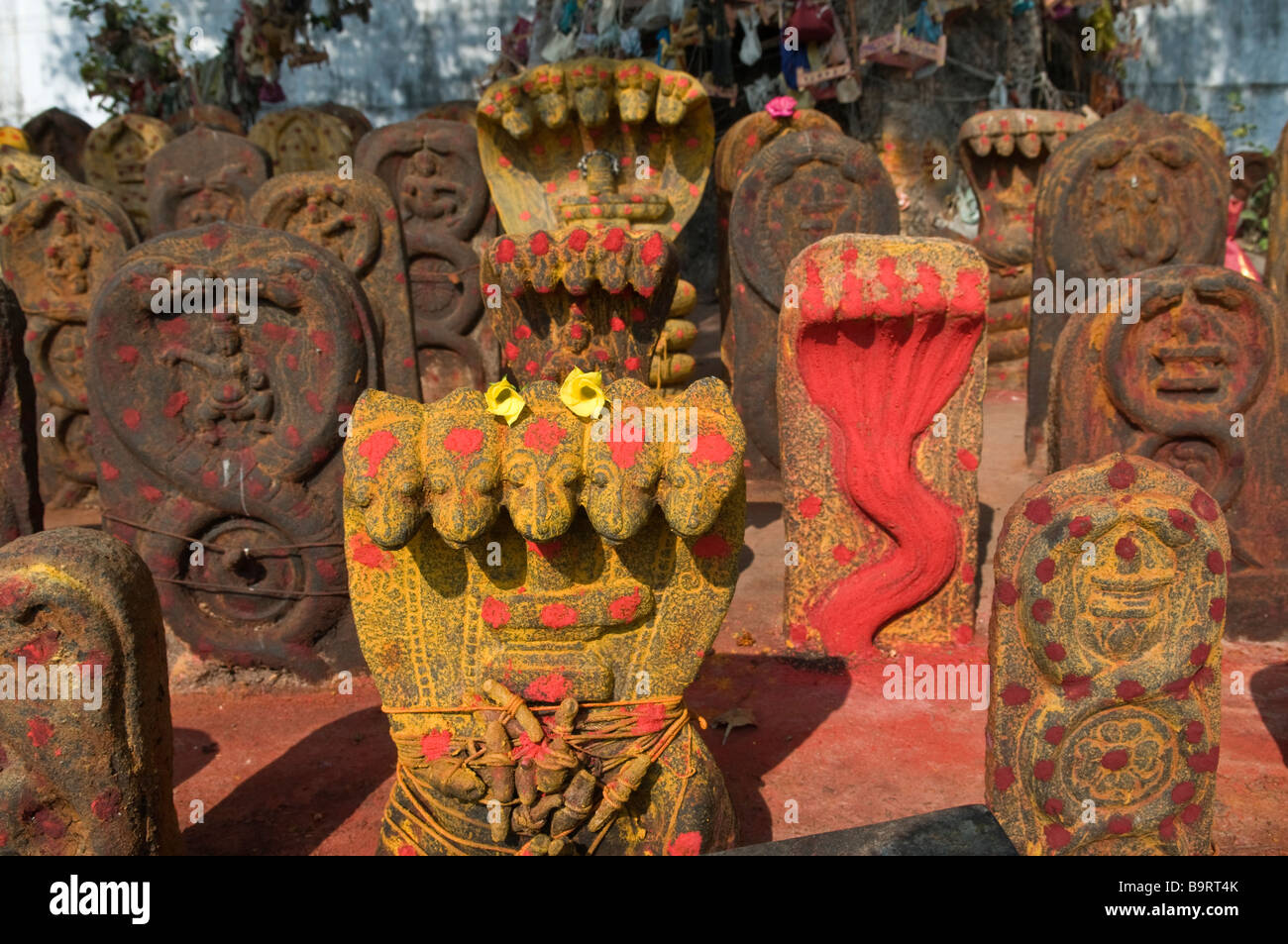 Katchabeswarar Temple Shrine Naga stones Kanchipuram Tamil Nadu India ...