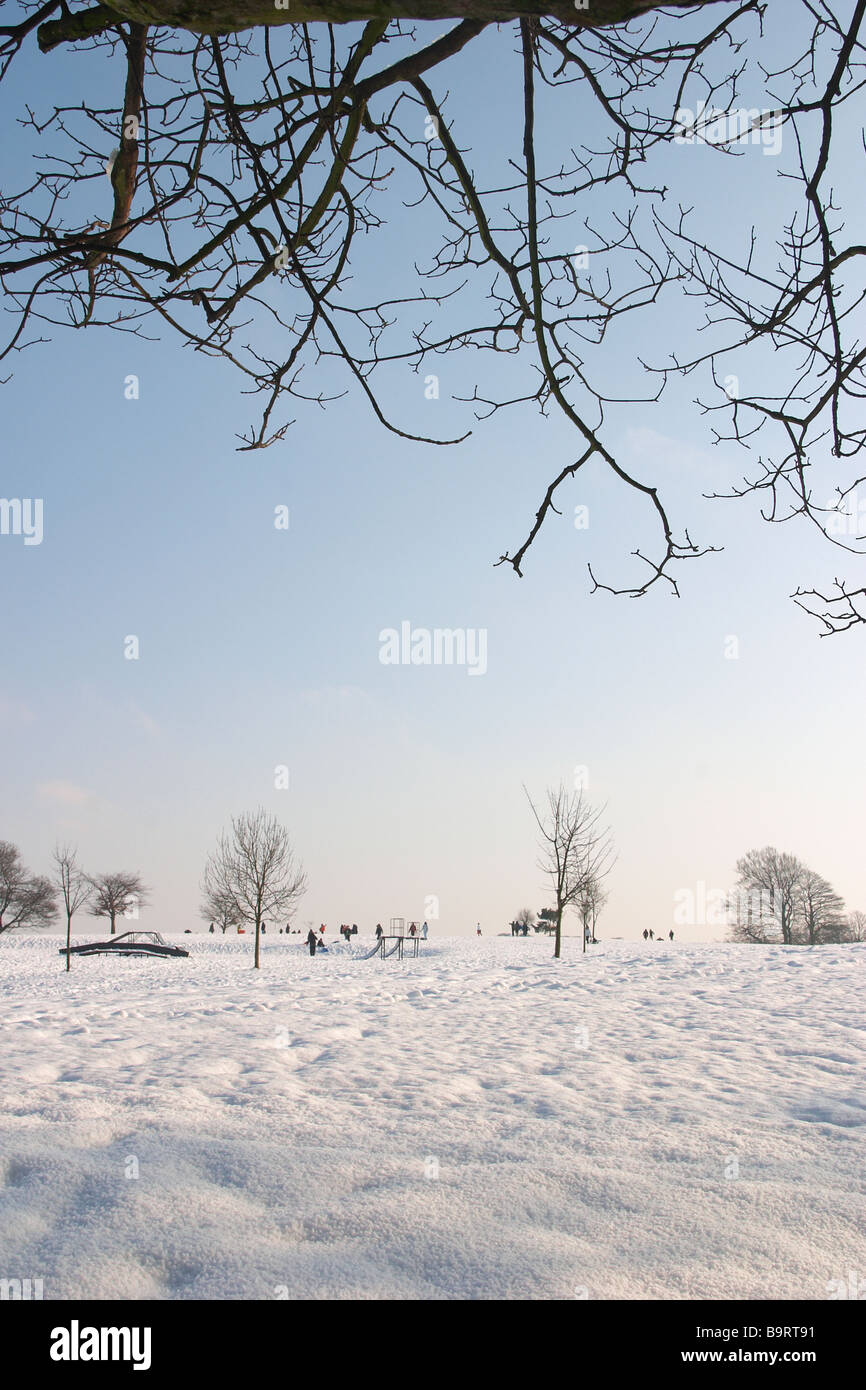 Snow scene with trees in foreground and far distance Stock Photo - Alamy