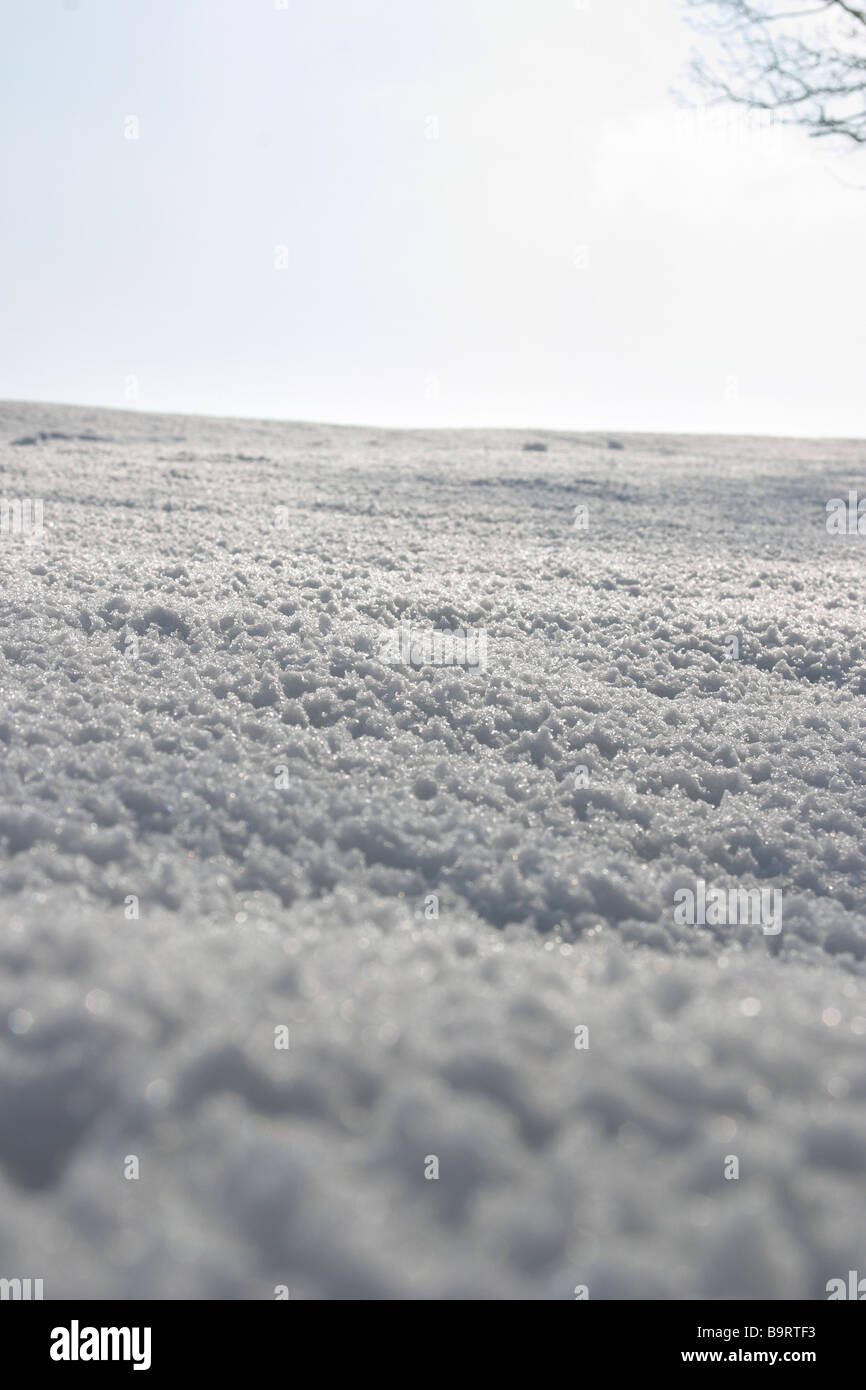 Snow scene showing freshly fallen snow with tree branches on distance ...